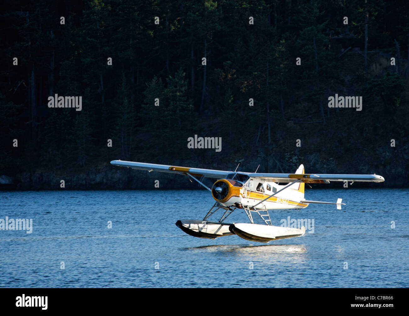 Kenmore Air seaplane taking off from Friday Harbor, San Juan Islands ...