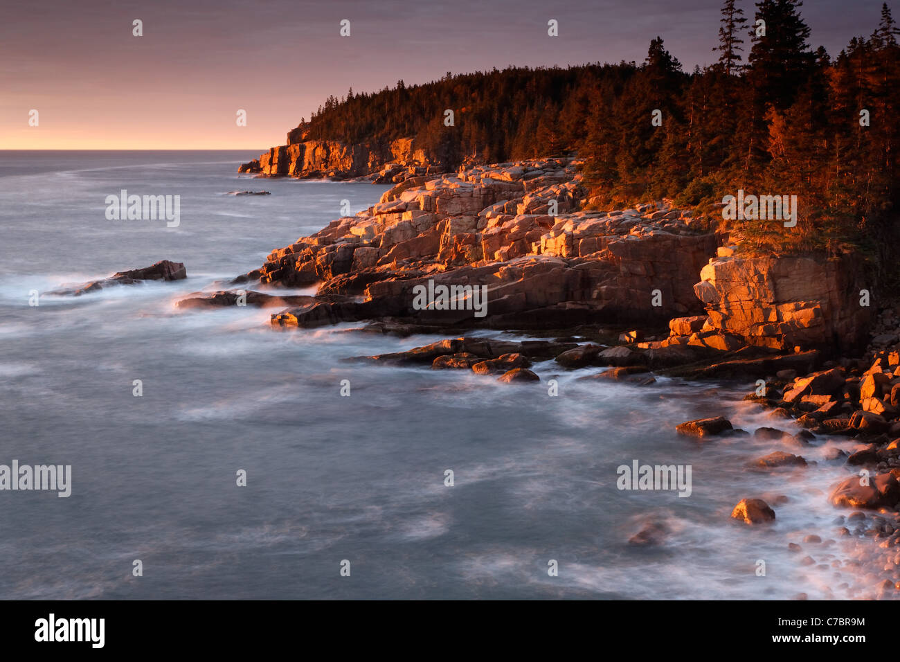 Monument Cove and Otter Cliffs at dawn, Acadia National Park, near Bary ...
