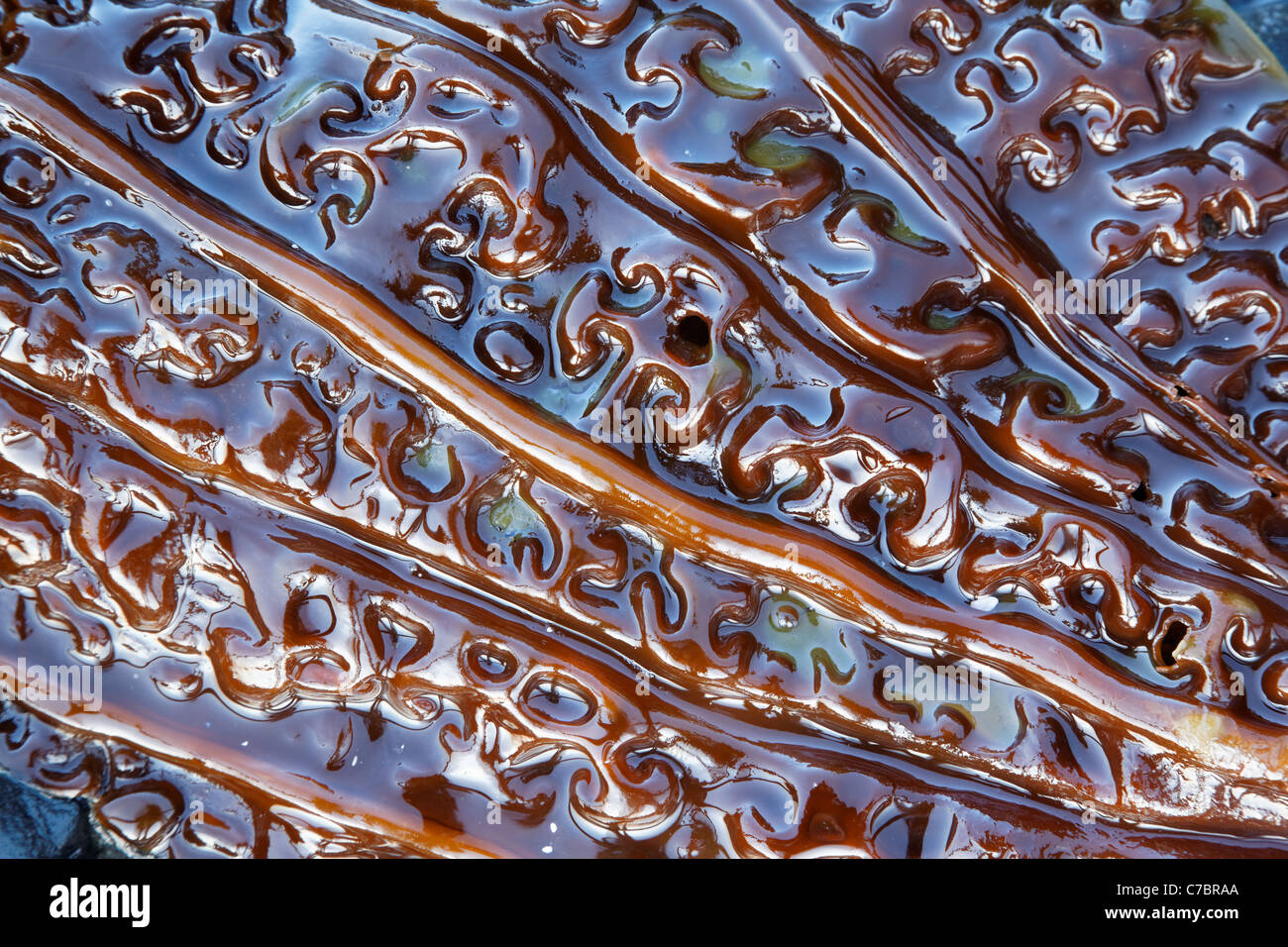 Kelp hi-res stock photography and images - Alamy