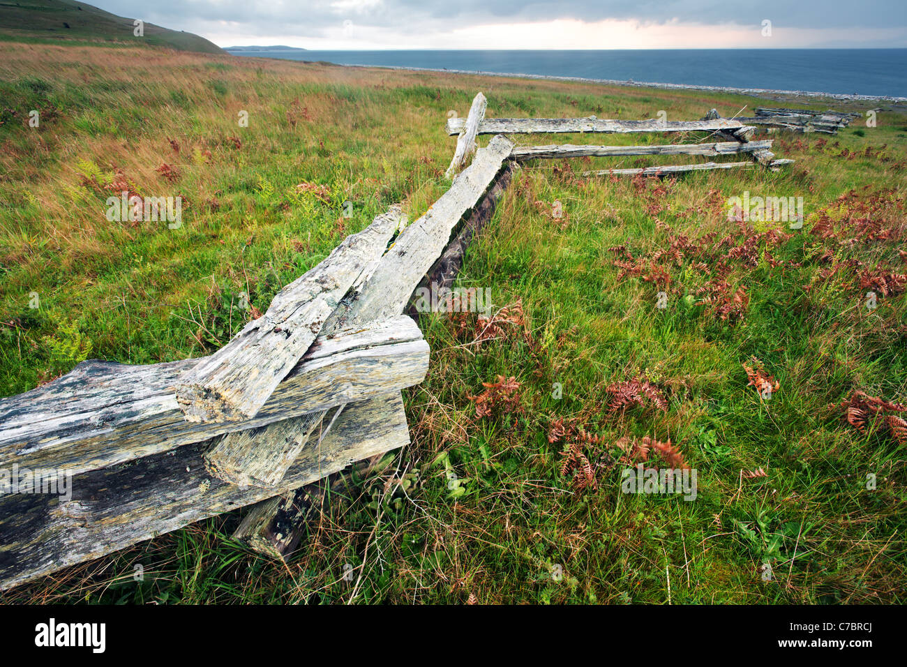 Fence through prairie, American Camp, San Juan Island National Historic ...