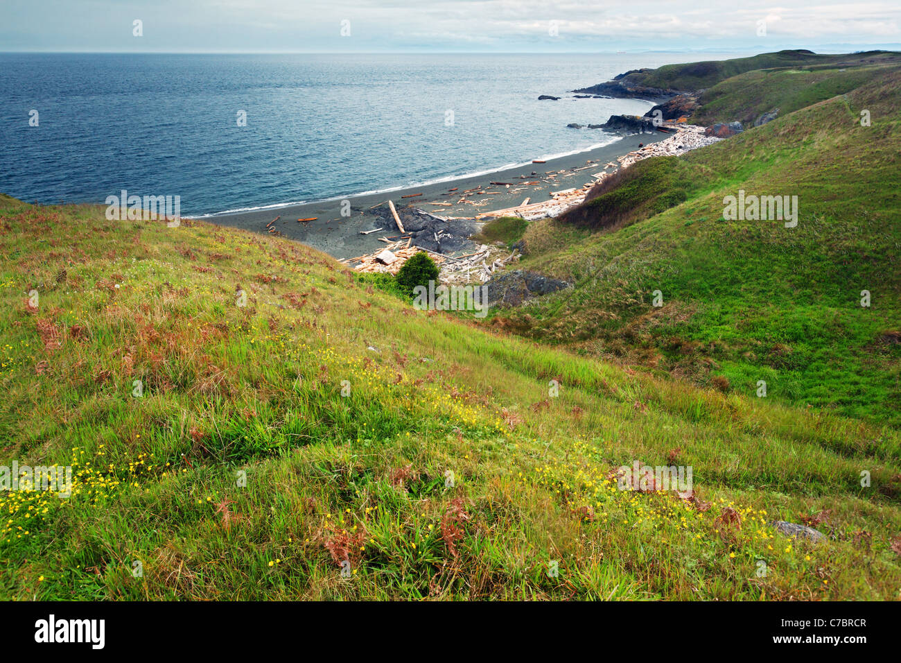 Bluff overlooking Haro Strait, American Camp, San Juan Island National ...