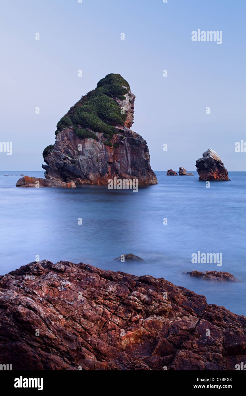 Offshore sea stacks, Harris Beach State Park, Brookings, Oregon, USA ...