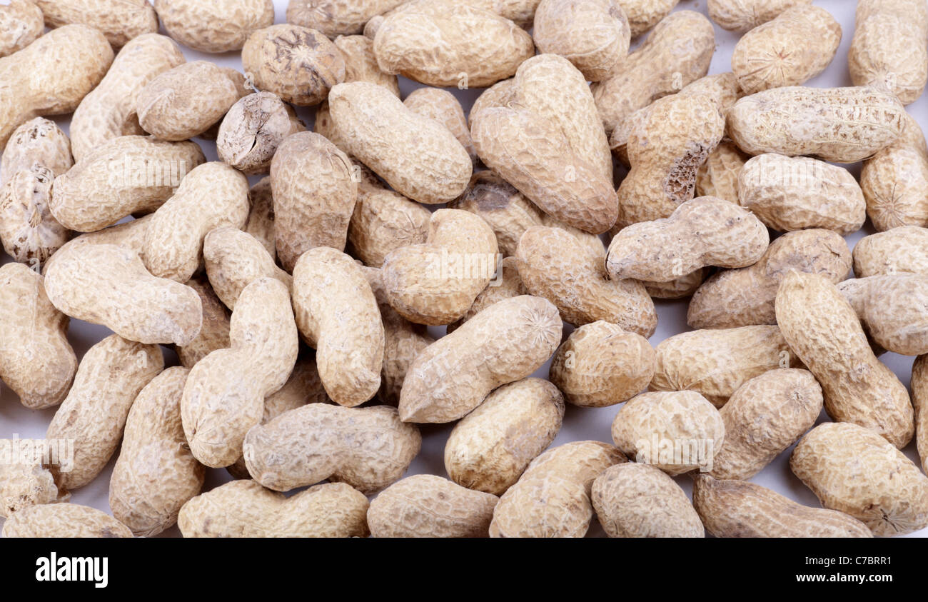 Groundnut hi-res stock photography and images - Alamy