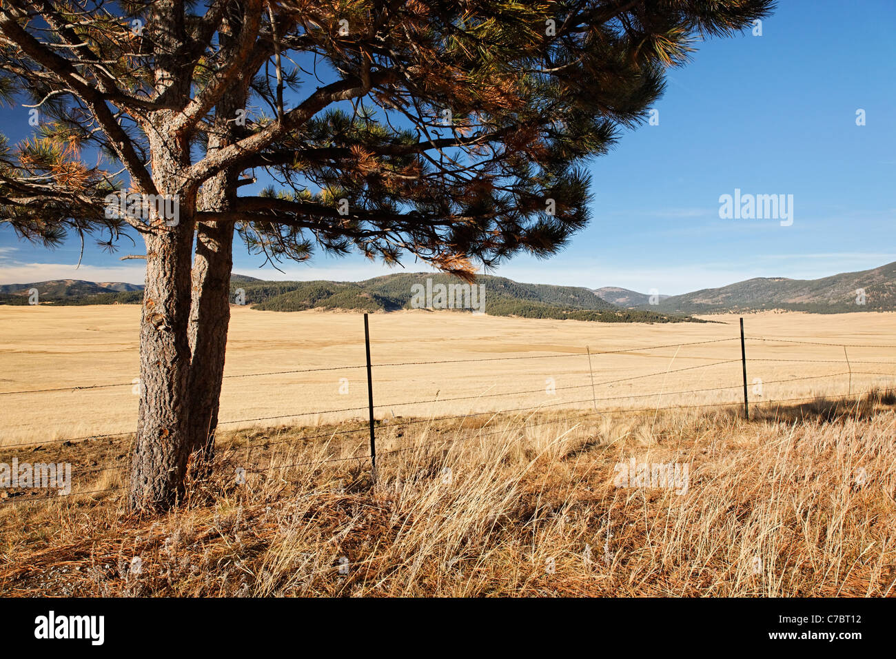 Crater stands hi-res stock photography and images - Alamy