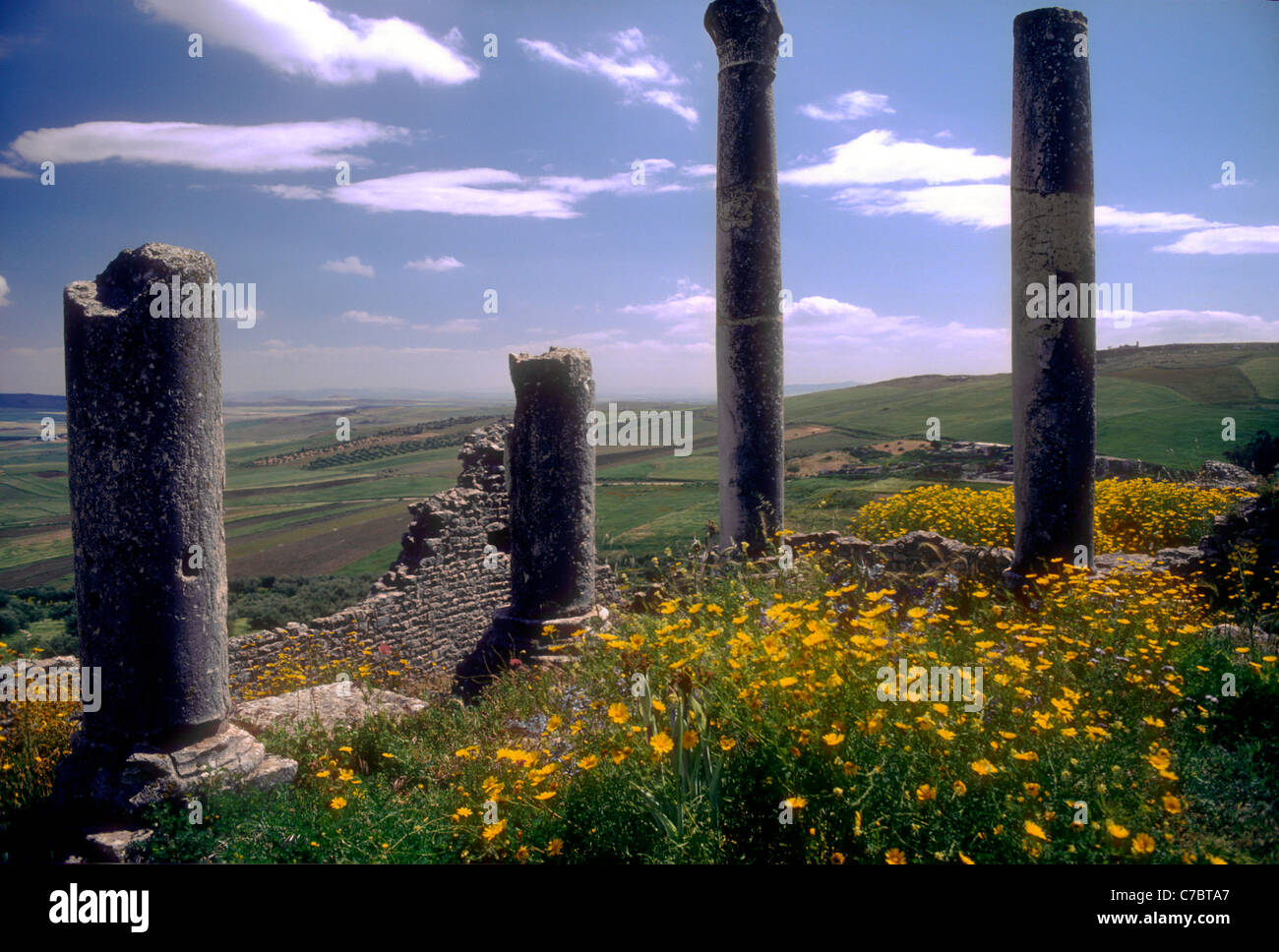 Columns at The Roman Ruins, Dougga, Tunisia North Africa Stock Photo ...