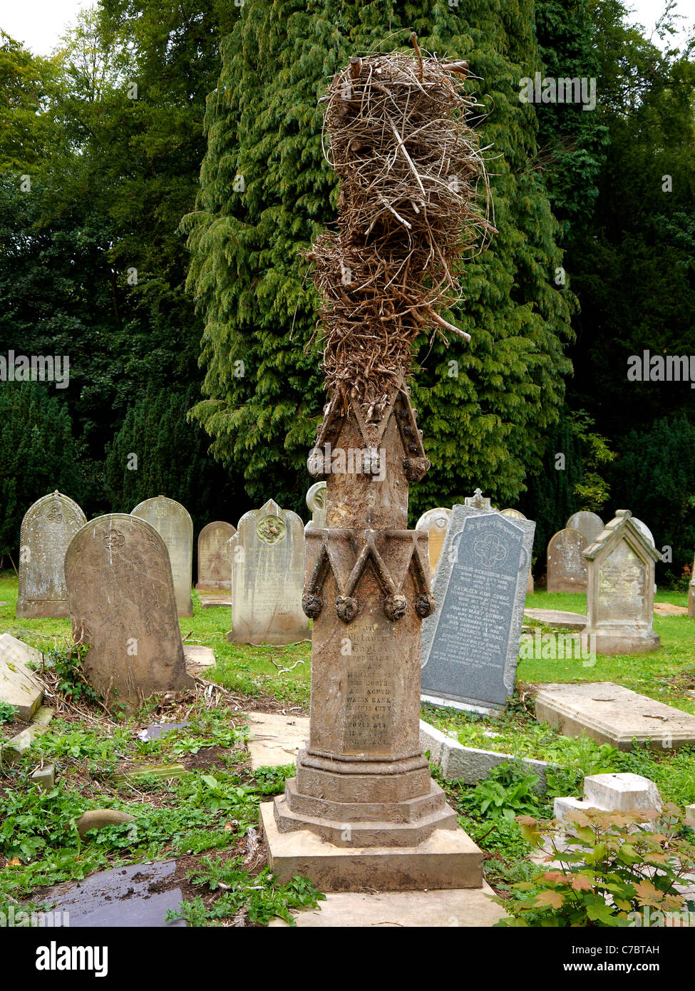Overgrown memorial on graveyard Stock Photo - Alamy