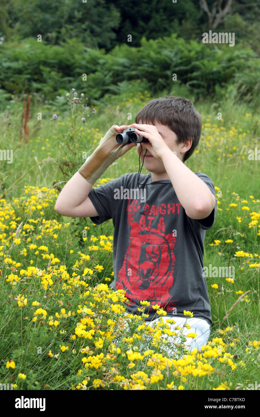 Meadow bird hi-res stock photography and images - Alamy