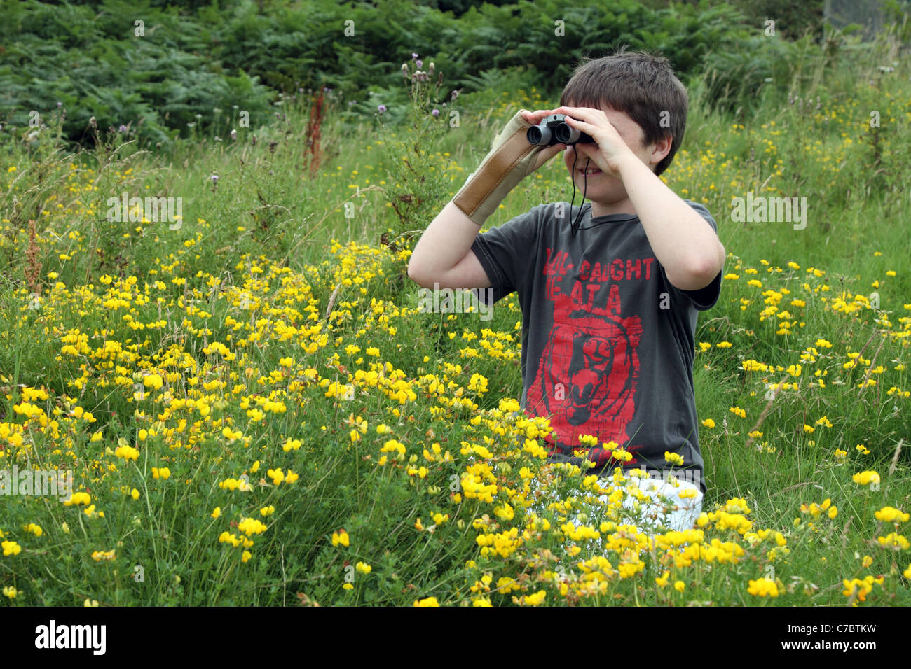 Boy bird watching in a meadow; Cornwall ; UK Stock Photo - Alamy