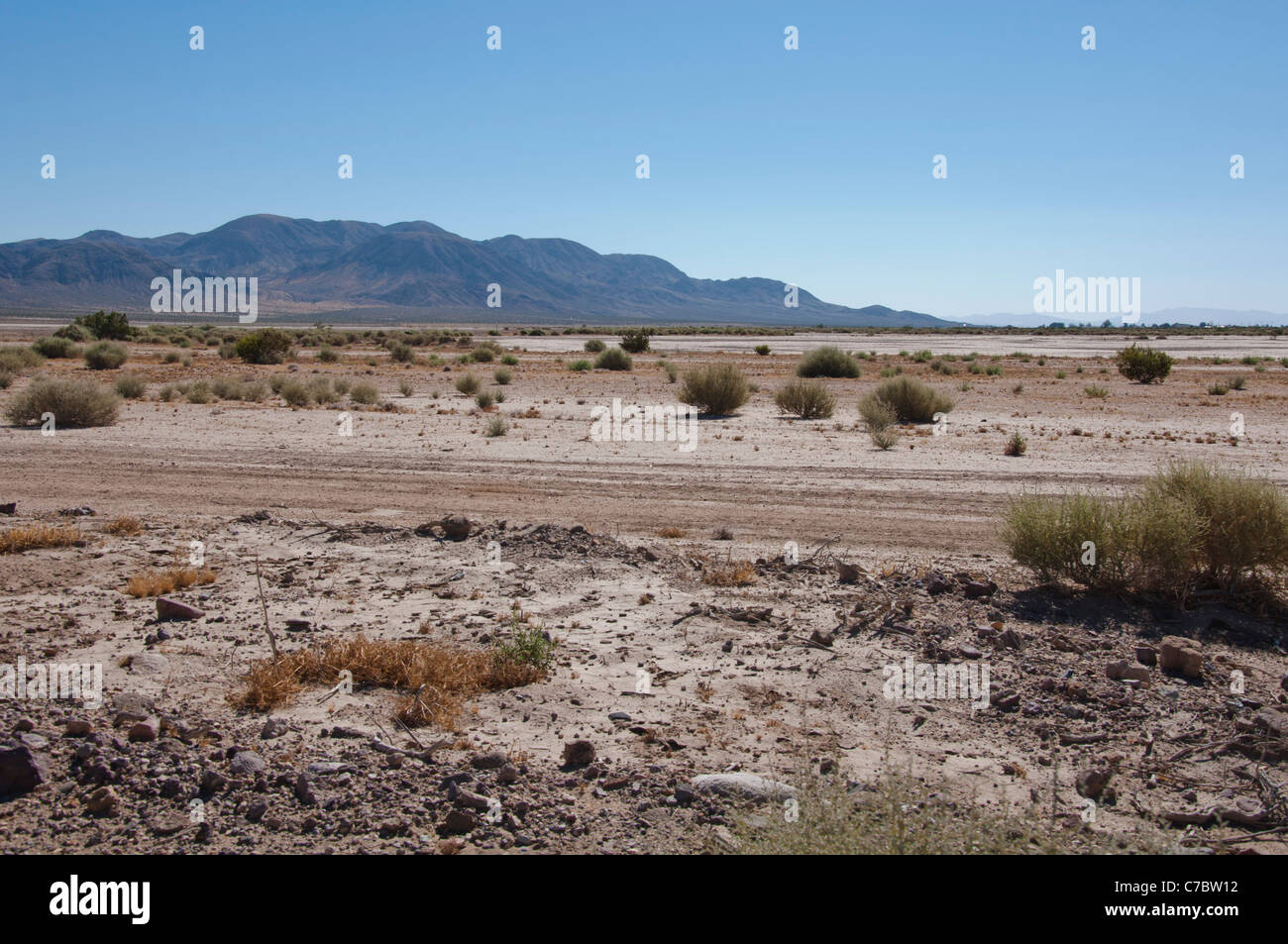 Mojave Desert, California, USA Stock Photo - Alamy