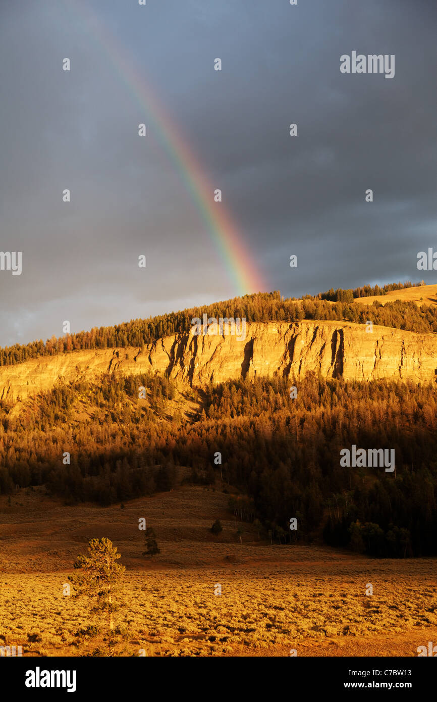 Rainbow over cliffs above Soda Butte Creek valley lit by sunset ...