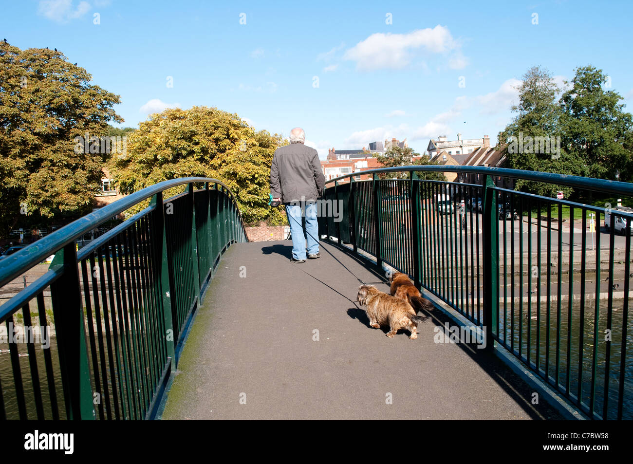 Man with two dogs crossing the Eel Pie Island pedestrian bridge ...