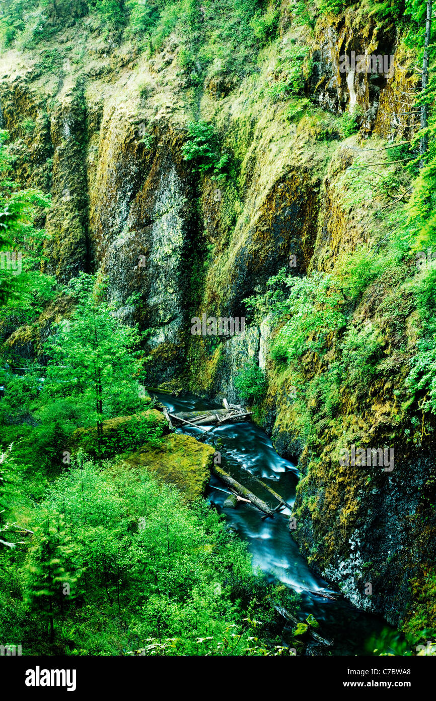 Oregon cascades recreation area hi-res stock photography and images - Alamy