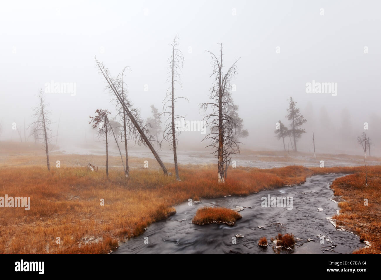 Firehole spring yellowstone hi-res stock photography and images - Alamy