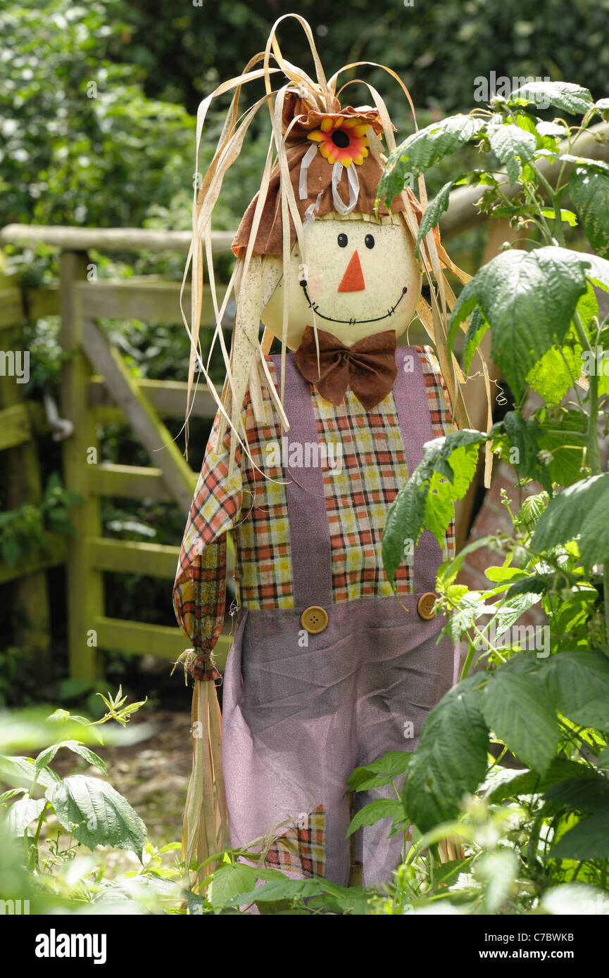 Scarecrow hi-res stock photography and images - Alamy