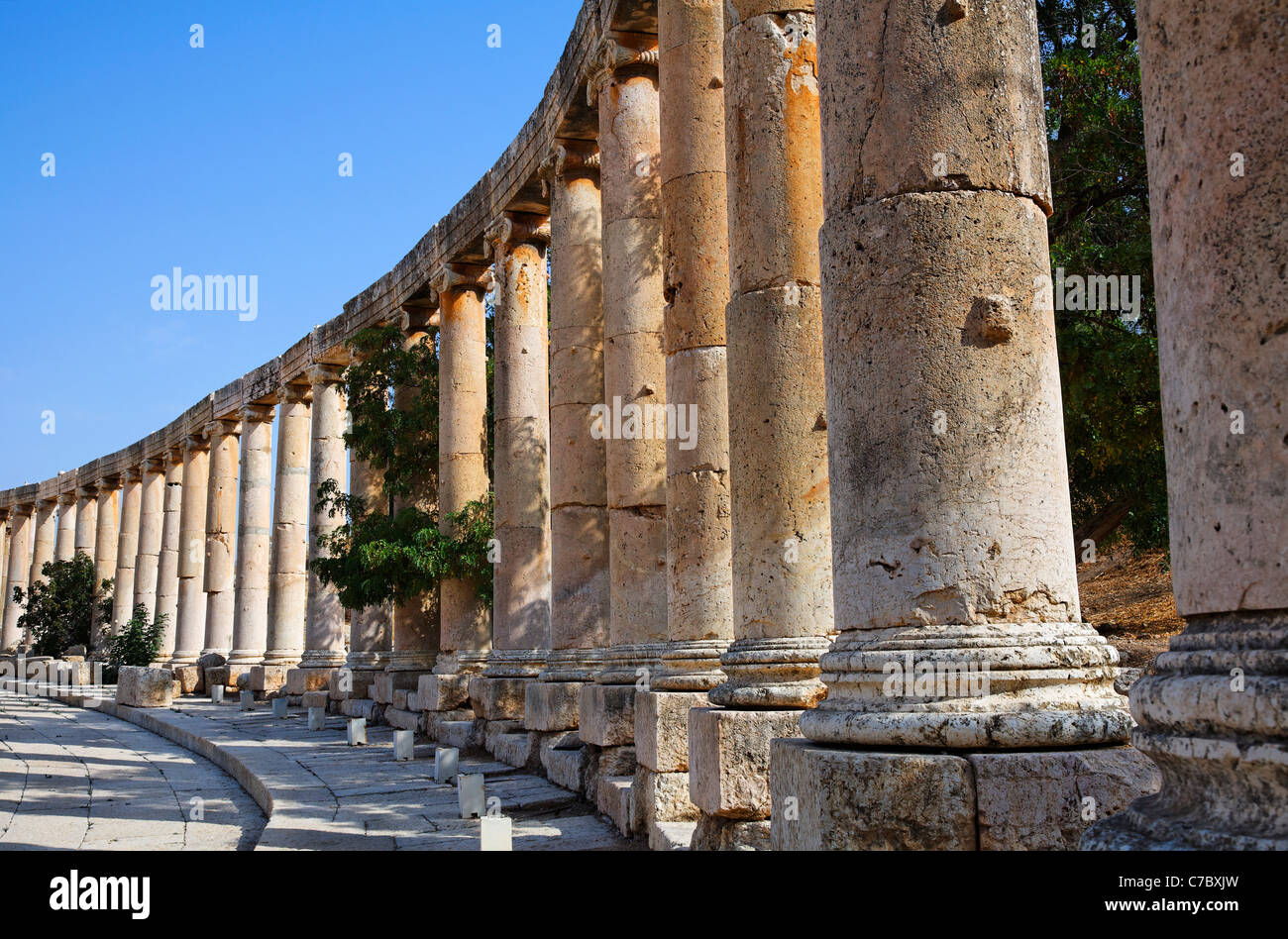 Columns of the Oval Plaza at Gerasa, Jerash, Jordan Stock Photo - Alamy