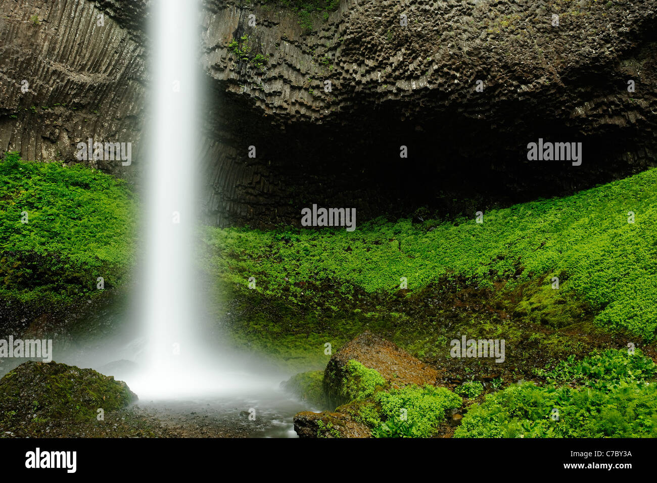 Latourell Falls falling over basalt cliff, Columbia River Gorge ...