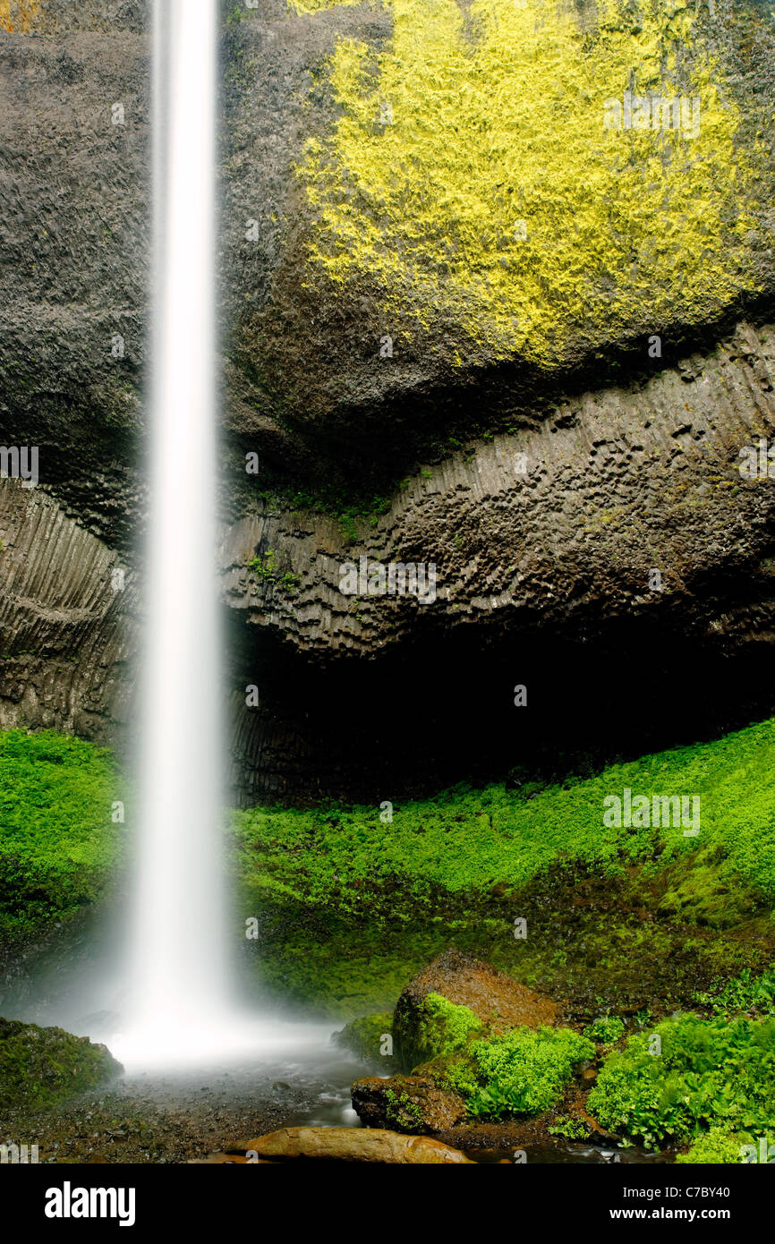Latourell Falls falling over basalt cliff, Columbia River Gorge ...