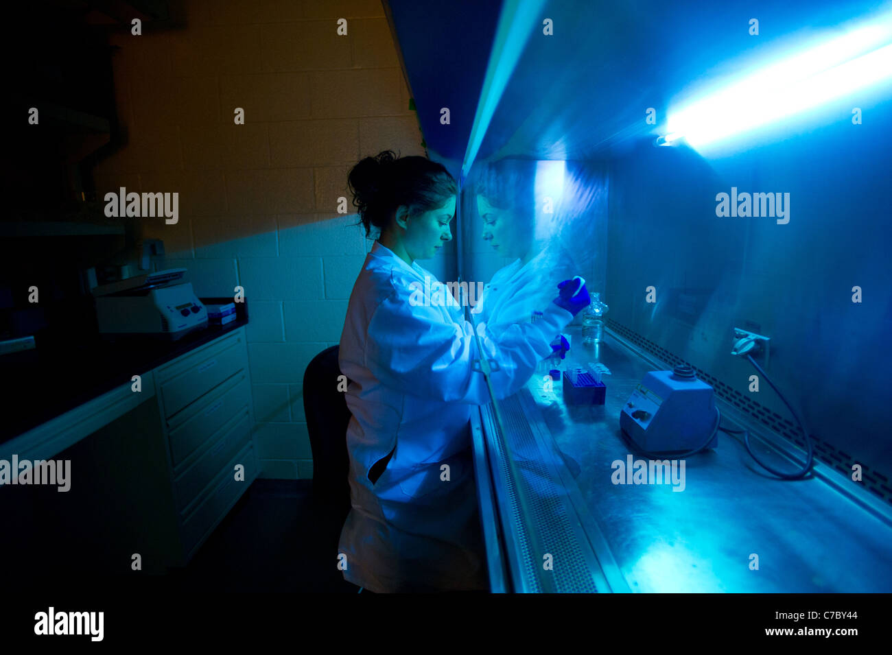 Woman in a scientific lab Stock Photo - Alamy