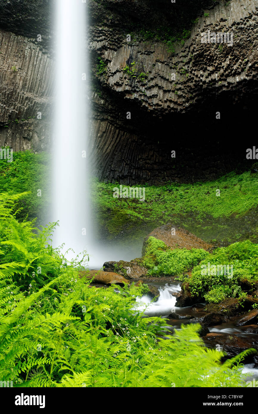 Latourell Falls falling over basalt cliff, Columbia River Gorge ...