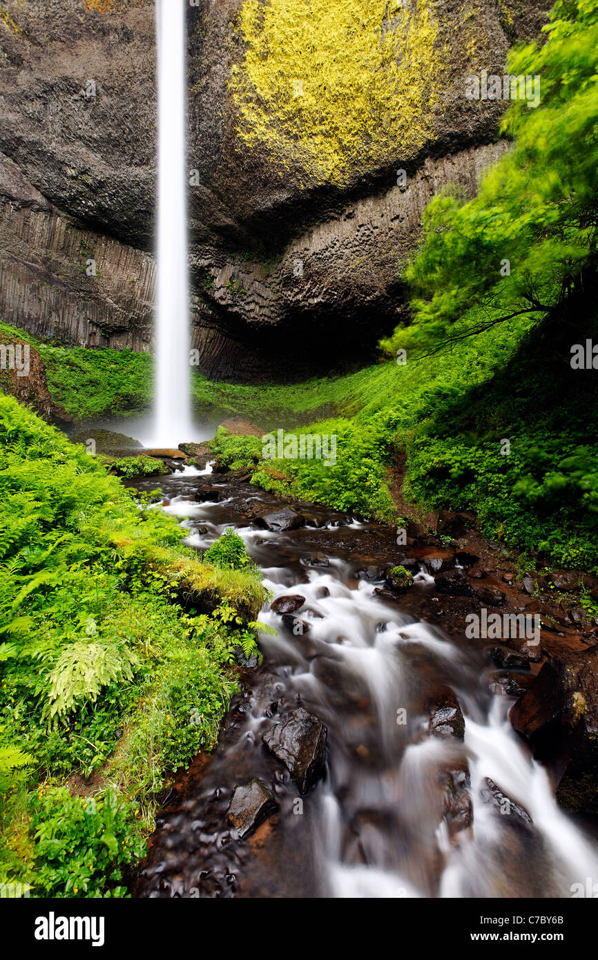 Latourell Falls falling over basalt cliff, Columbia River Gorge ...