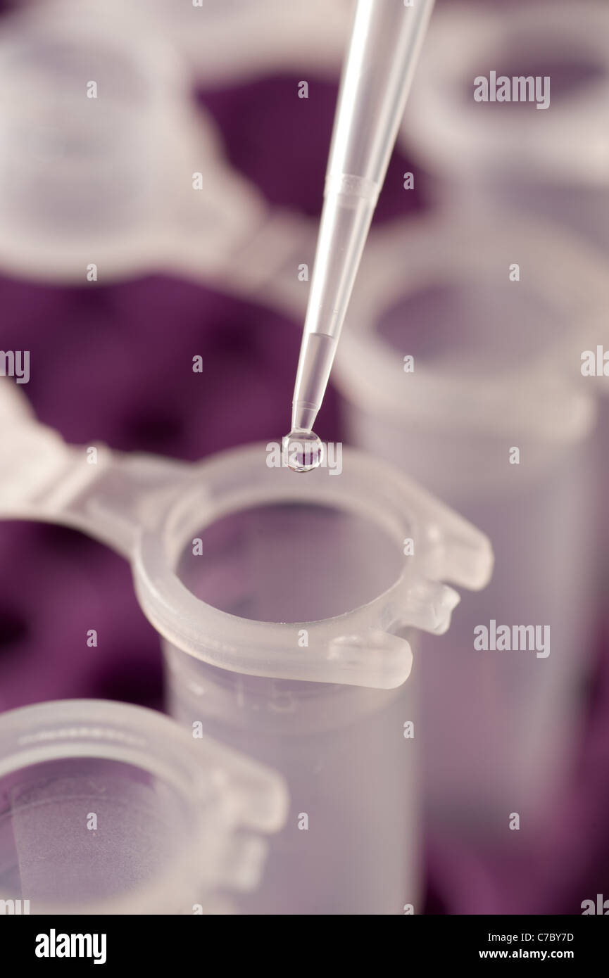 Test tubes in a science lab for experimentation Stock Photo - Alamy