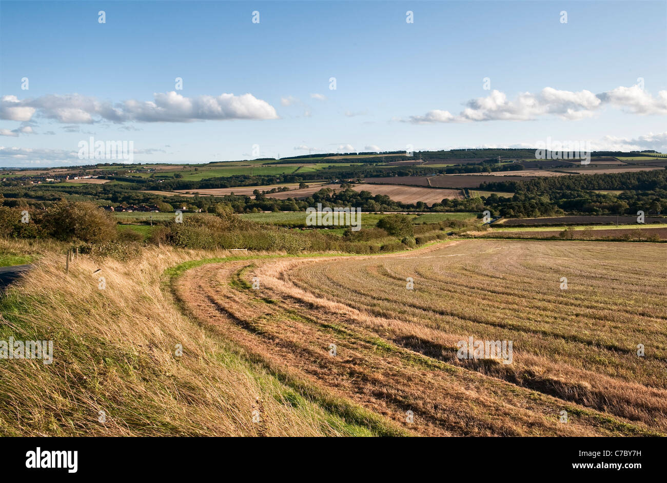County durham countryside hi-res stock photography and images - Alamy