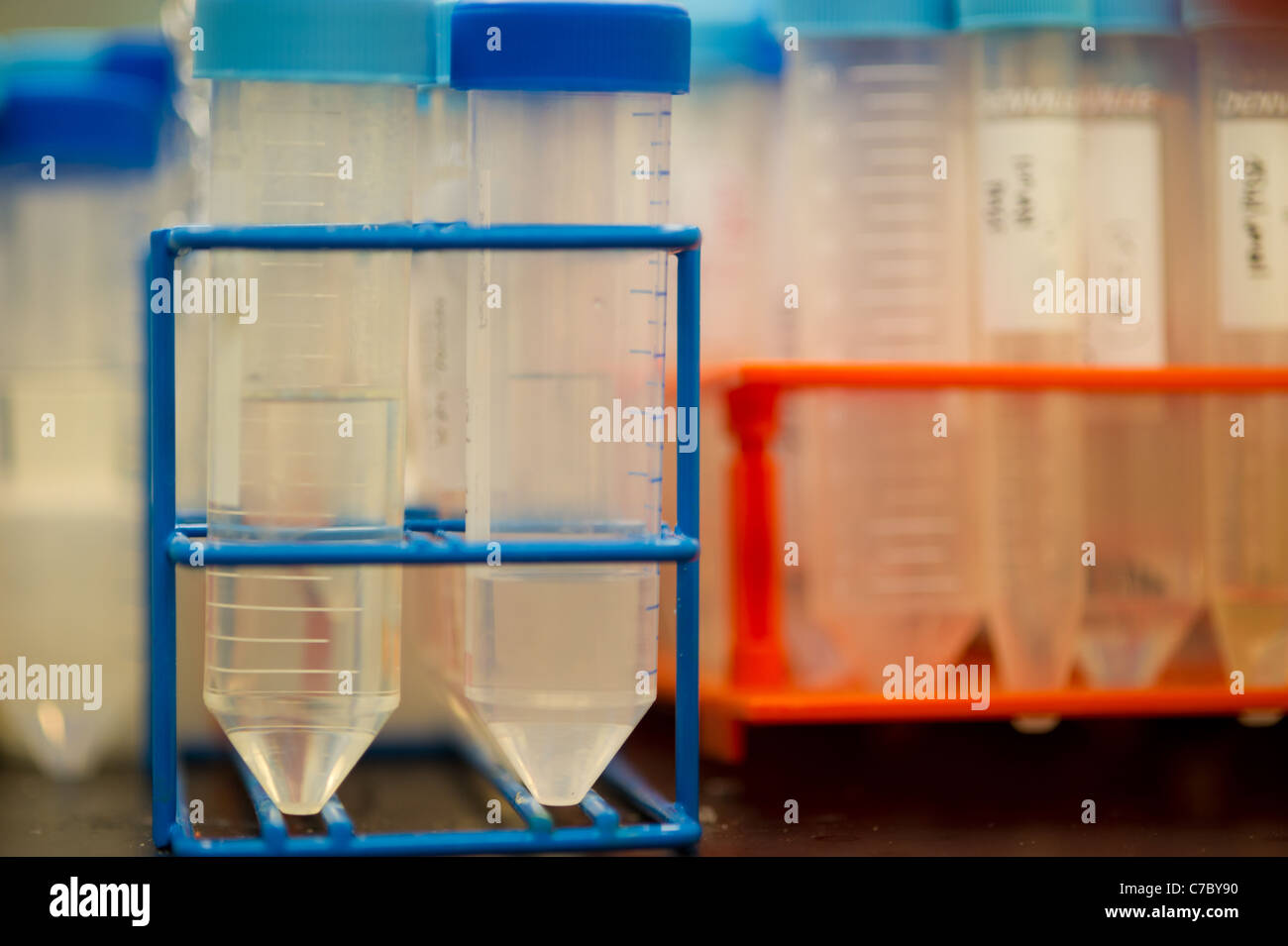 Test tubes in a science lab for experimentation Stock Photo - Alamy