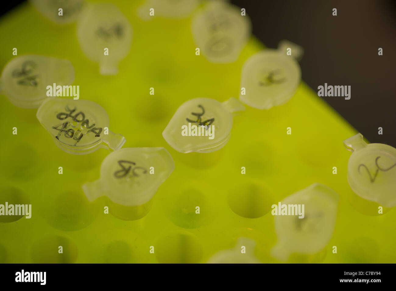 Container of test tubes Stock Photo - Alamy