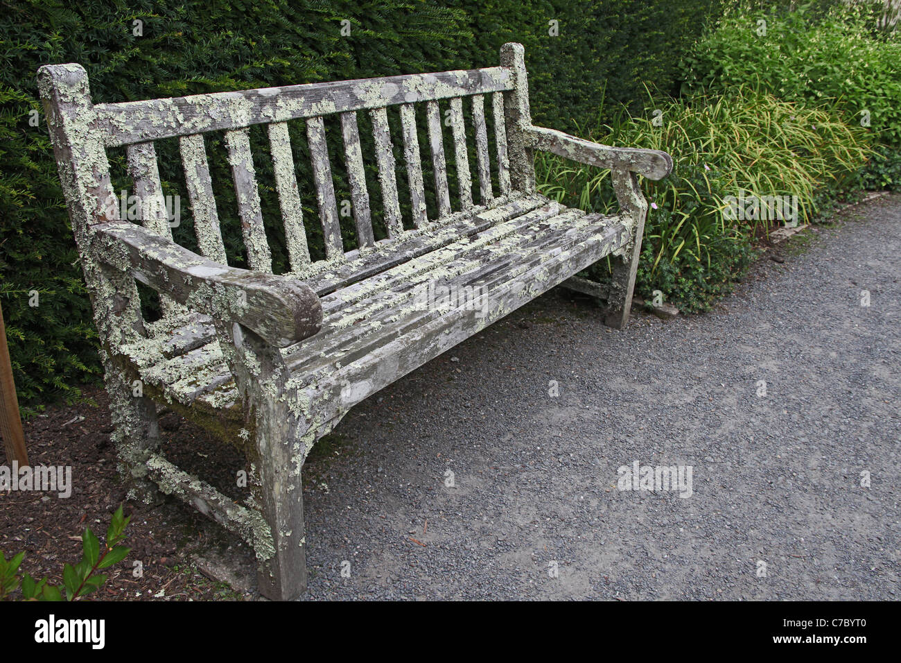 Lichen bench High Resolution Stock Photography and Images - Alamy