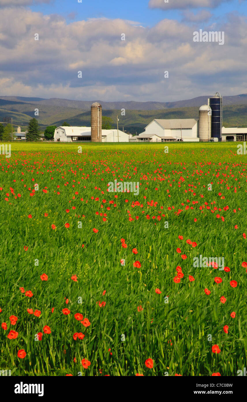 Farm in the Shenandoah Valley of Virginia, USA Stock Photo - Alamy