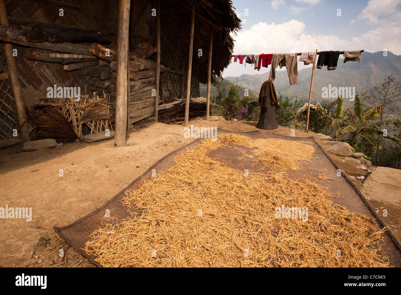 Rice drying hi-res stock photography and images - Alamy