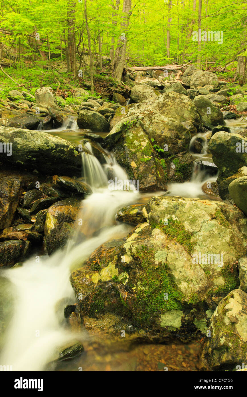 Cedar run shenandoah hi-res stock photography and images - Alamy