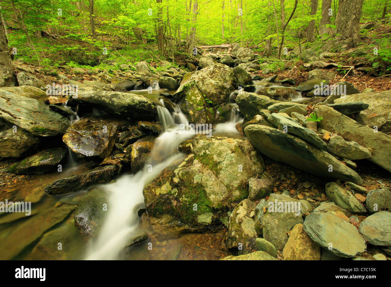 Cedar run shenandoah hi-res stock photography and images - Alamy