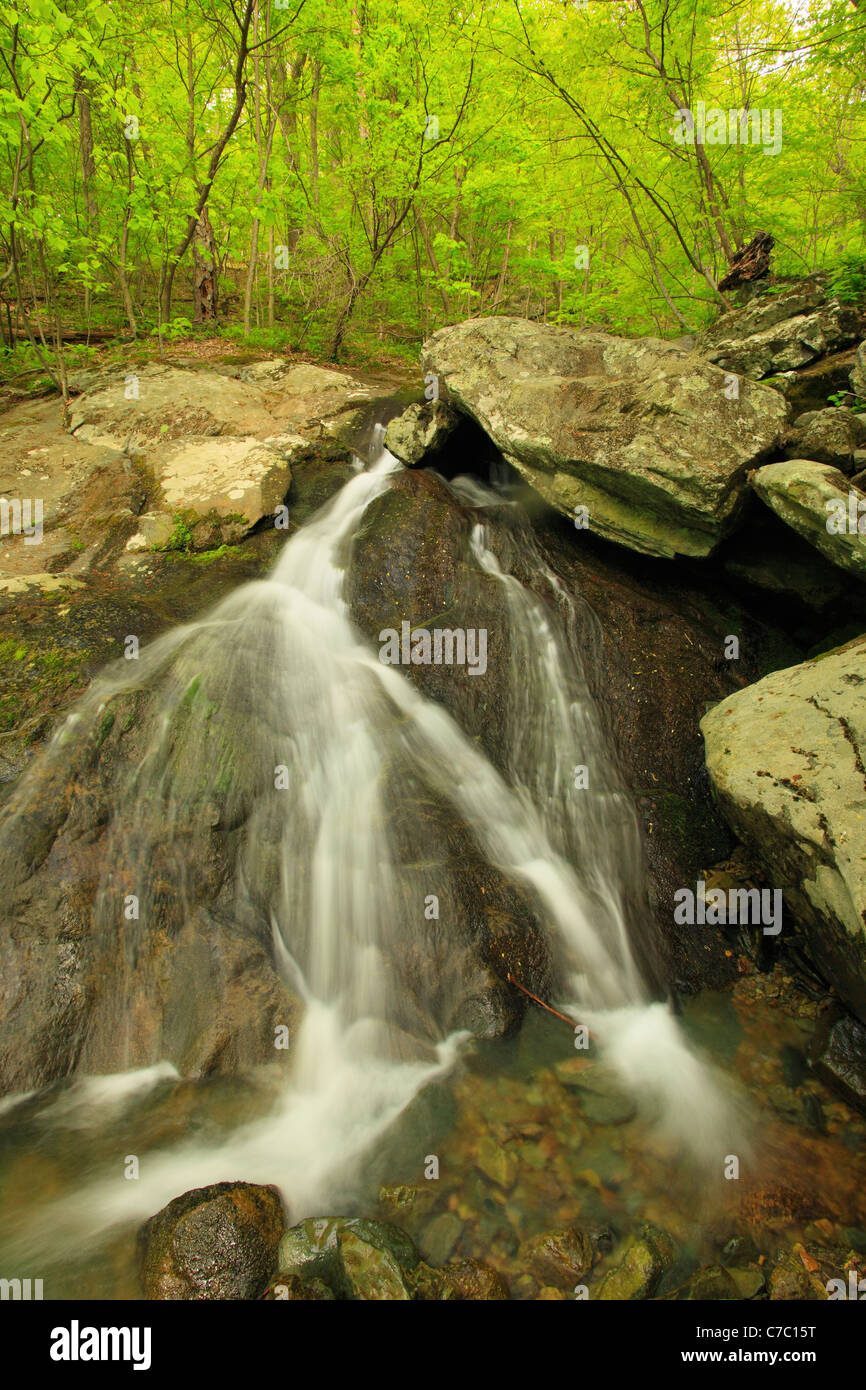 Cascade Beside Cedar Run Trail, Shenandoah National Park, Virginia, USA ...