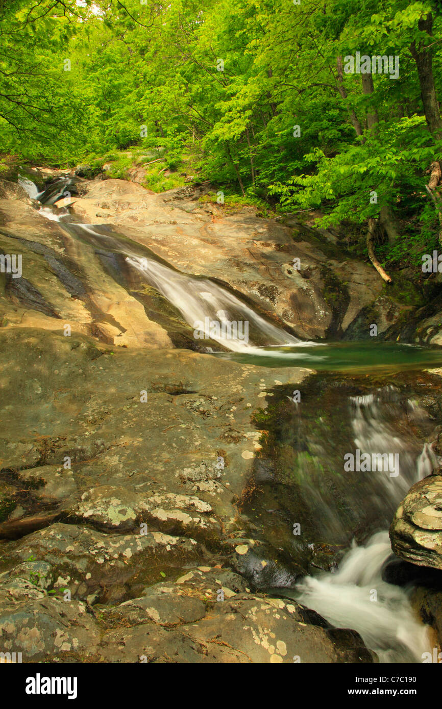 Cedar run trail hi-res stock photography and images - Alamy
