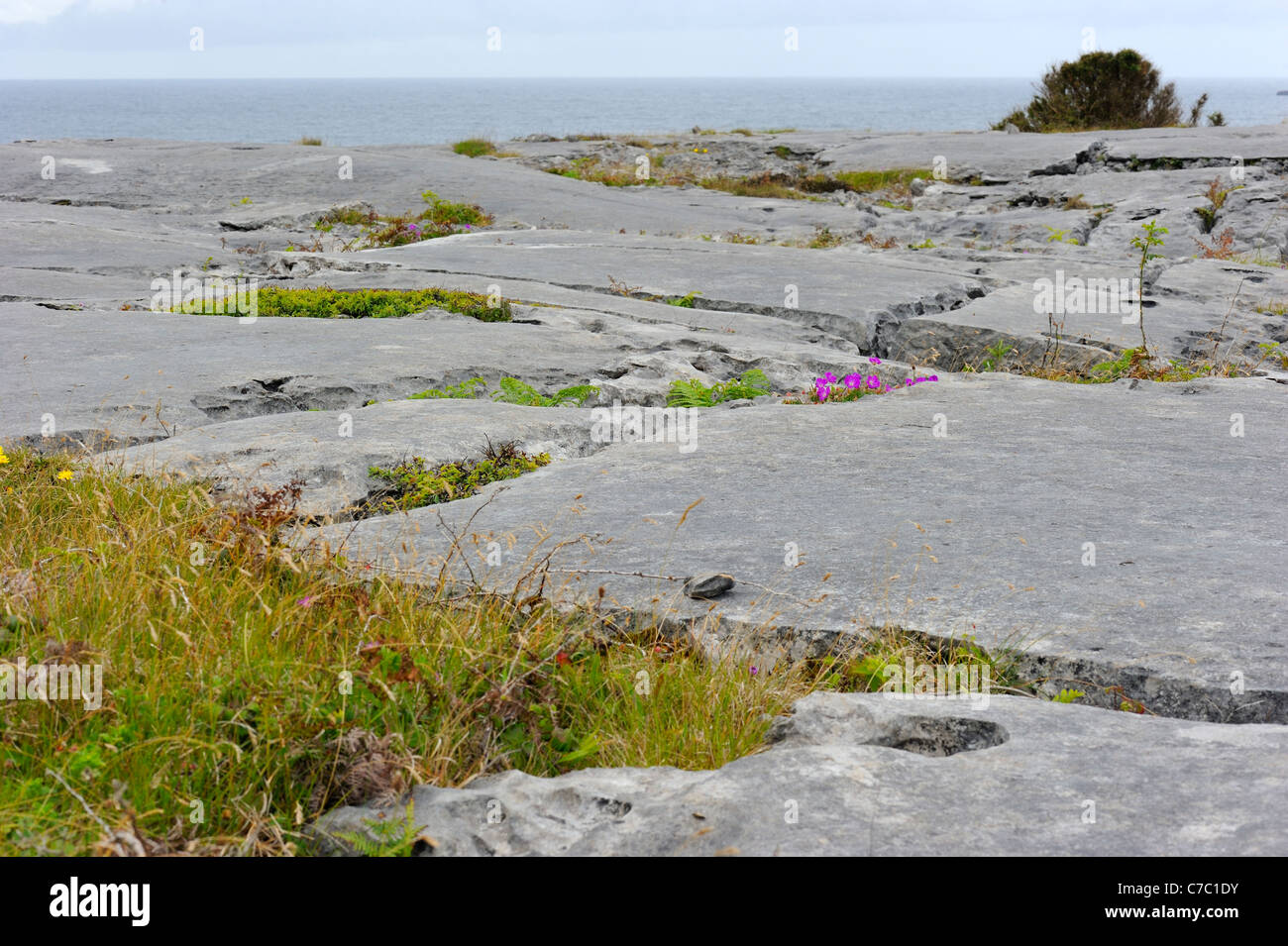 Karst pavement hi-res stock photography and images - Alamy