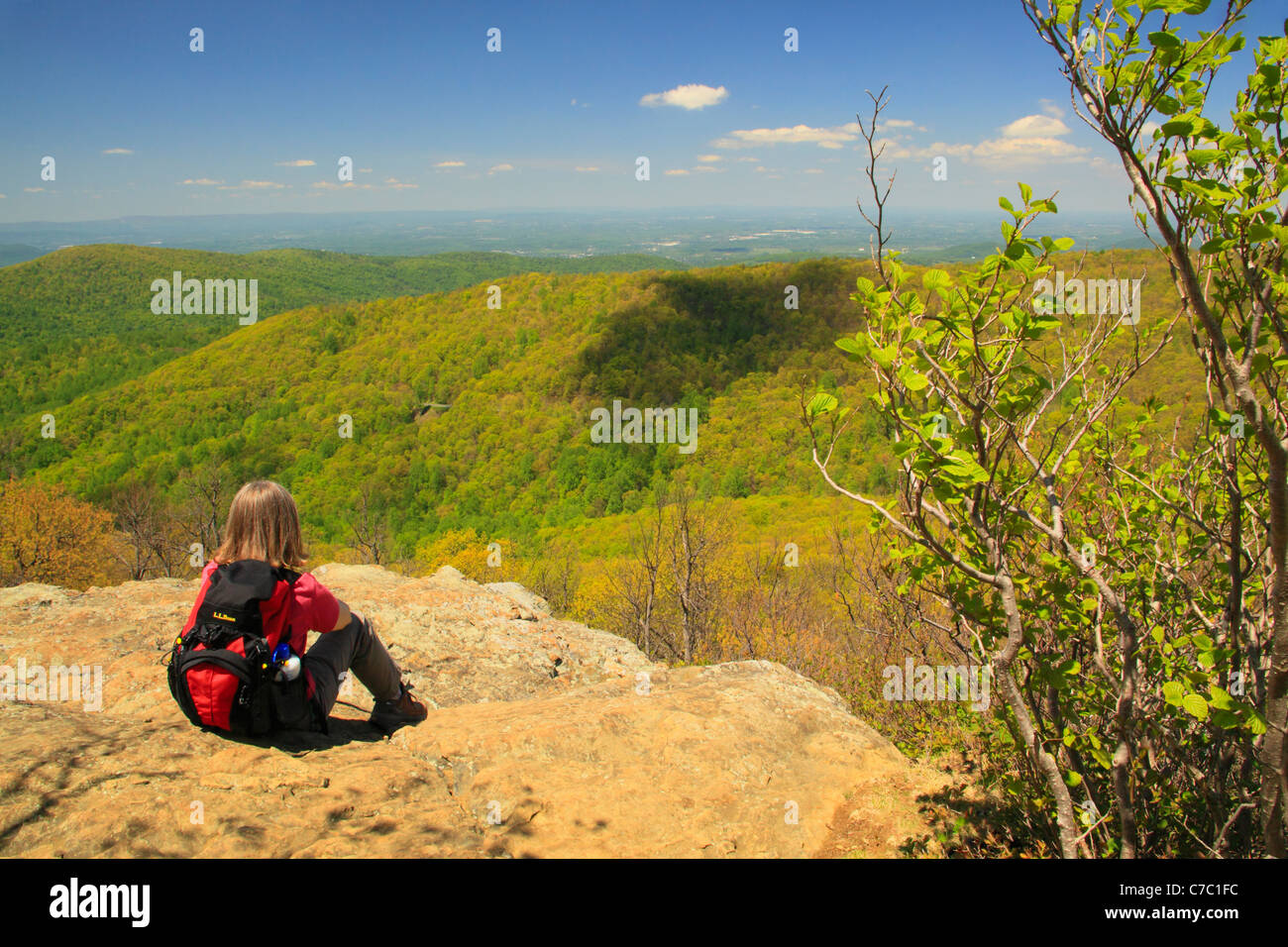 View From Appalachian Trail, Compton Peak, Shenandoah National Park ...