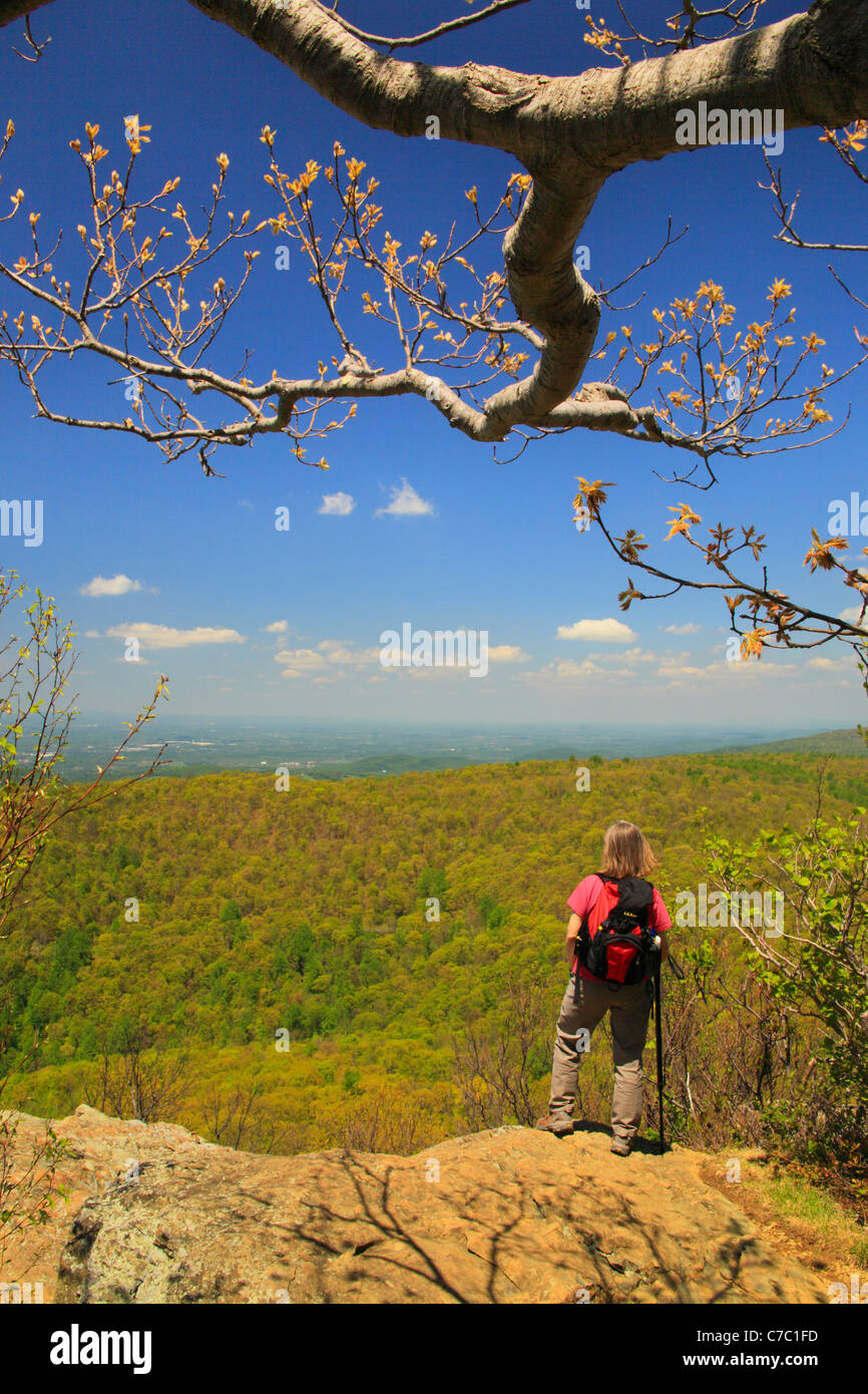 View From Appalachian Trail, Compton Peak, Shenandoah National Park ...