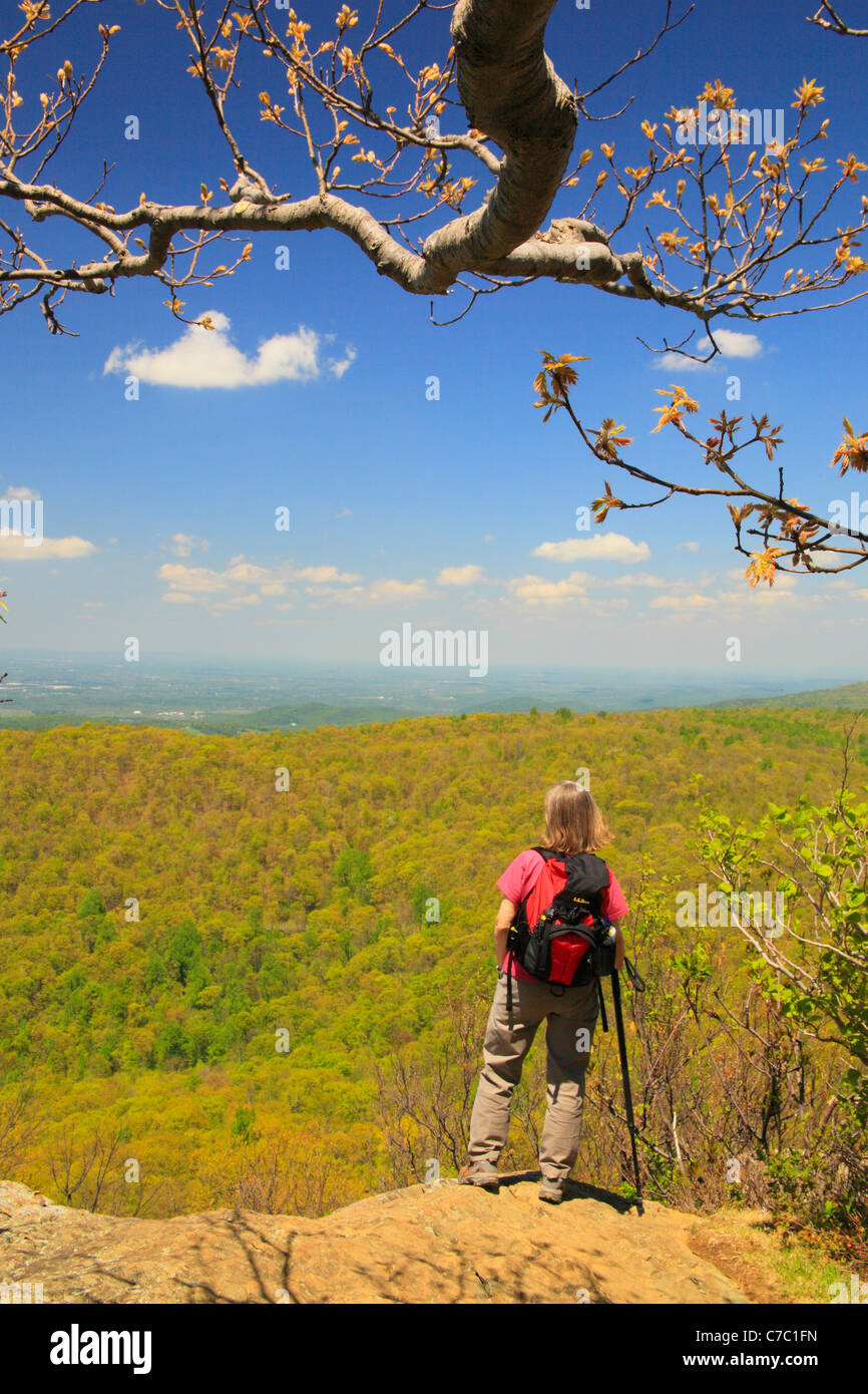 View From Appalachian Trail, Compton Peak, Shenandoah National Park ...