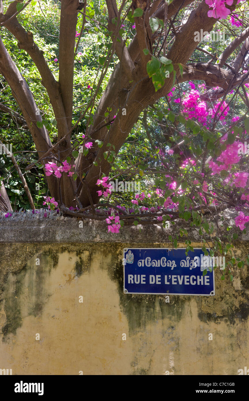 A french street in Pondicherry (Puducherry), Tamil Nadu, India Stock ...
