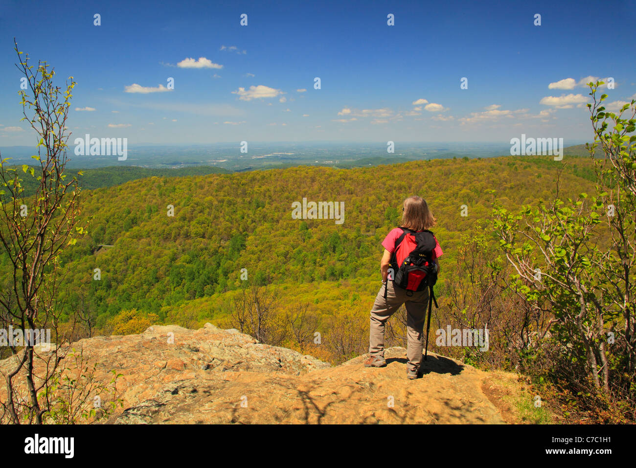 View From Appalachian Trail, Compton Peak, Shenandoah National Park ...