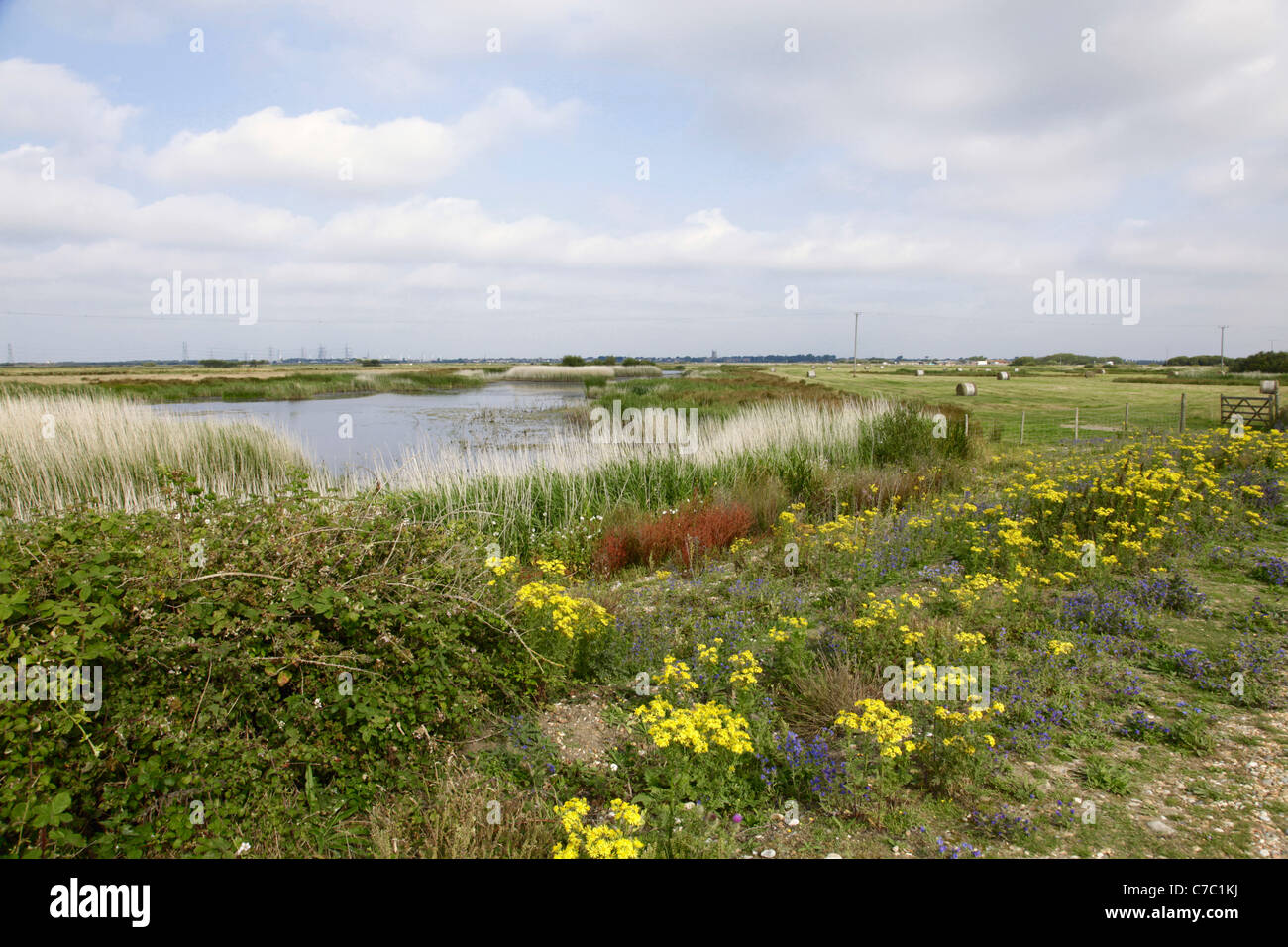 RSPB Dungeness nature reserve Stock Photo - Alamy