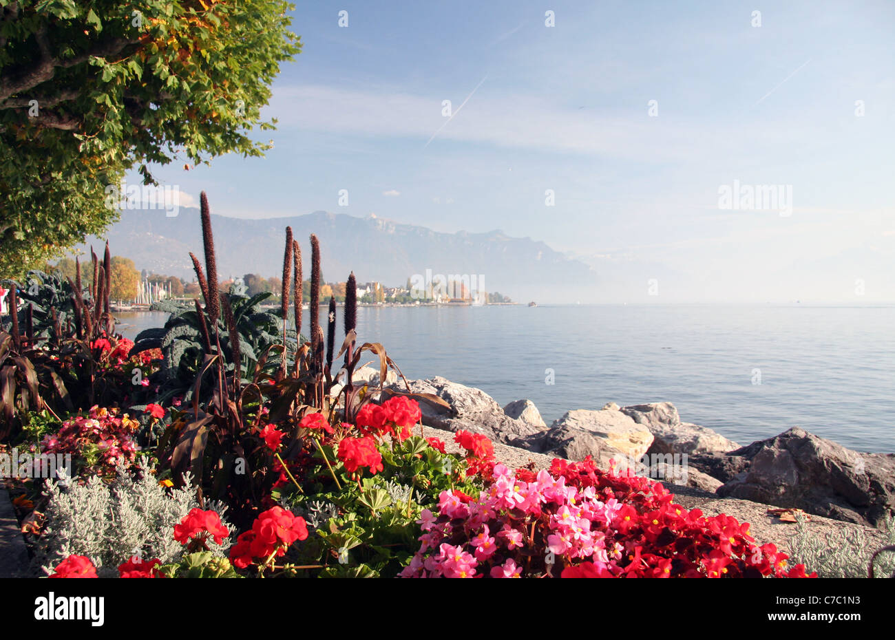 Geneva lake in autumn Stock Photo - Alamy