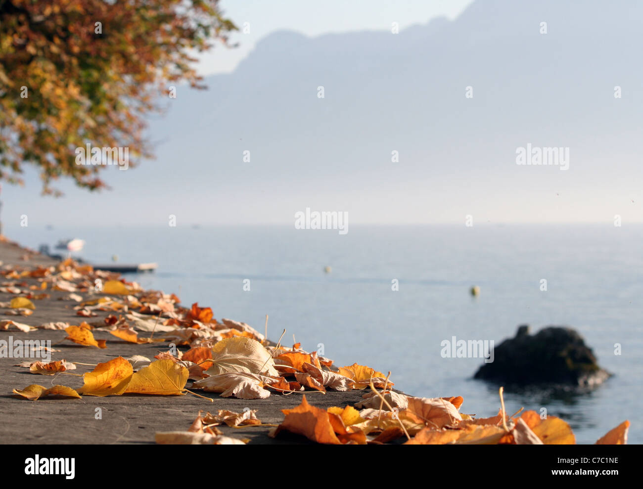 Geneva lake in autumn Stock Photo - Alamy