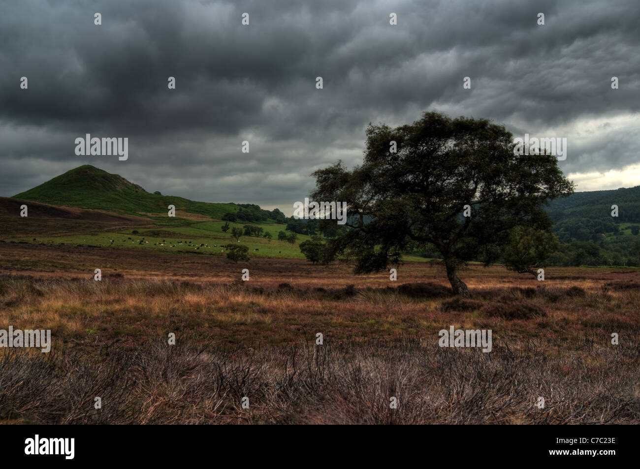 North Yorkshire Moors landscape Stock Photo - Alamy