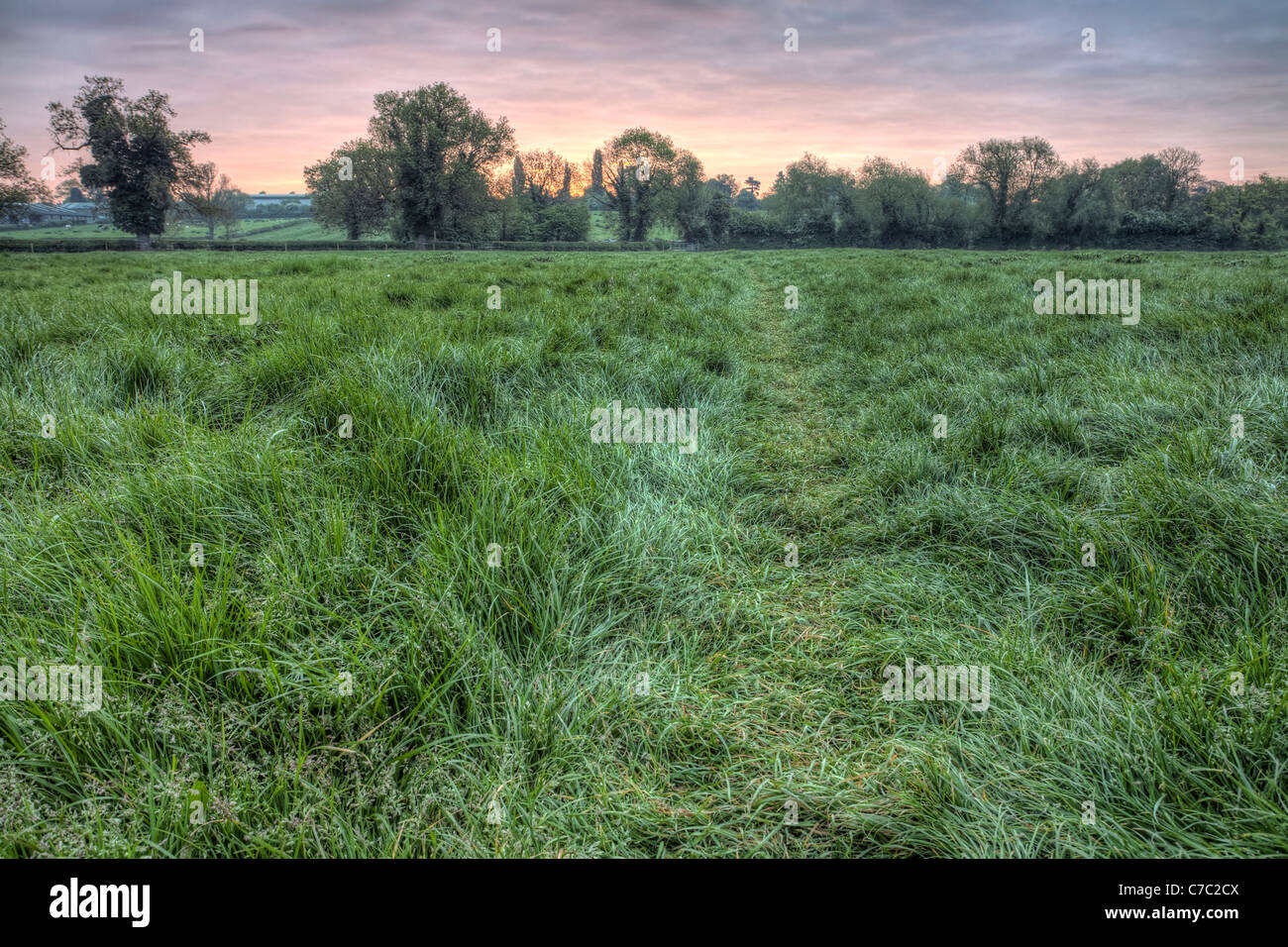 A rural English, grass-covered field just before sunrise, with public ...