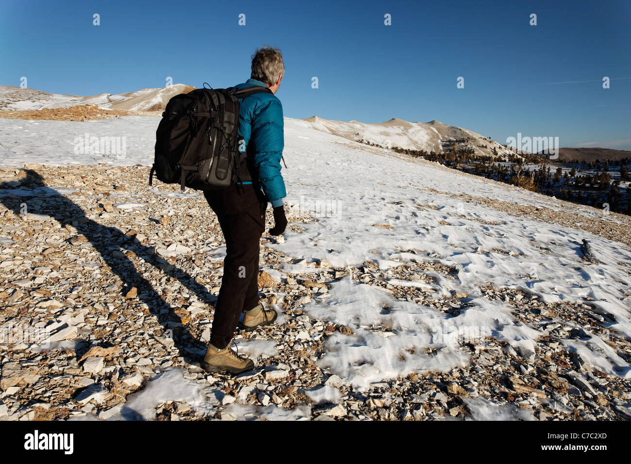 Male hiker in White Mountains, Inyo National Forest, White Mountains ...