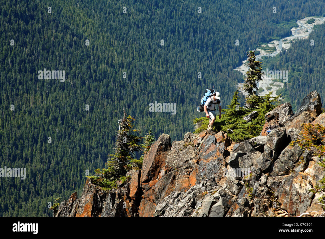 Man high above the Hoh River crossing The Catwalk dividing High Divide ...