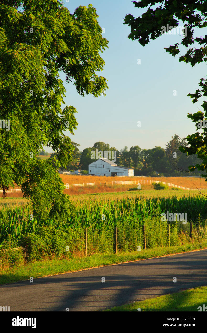 Corn field barn hi-res stock photography and images - Alamy