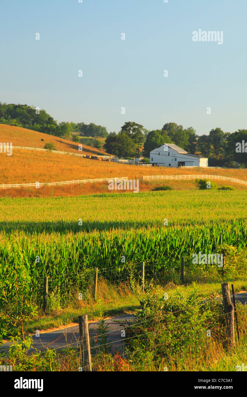 Corn field barn hi-res stock photography and images - Alamy